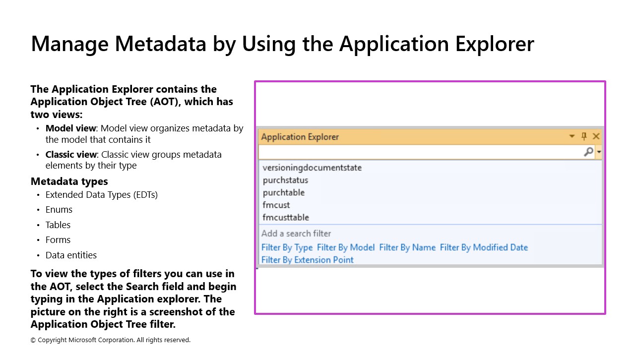 Manage Metadata by Using the Application Explorer - Instructor Brandon ...